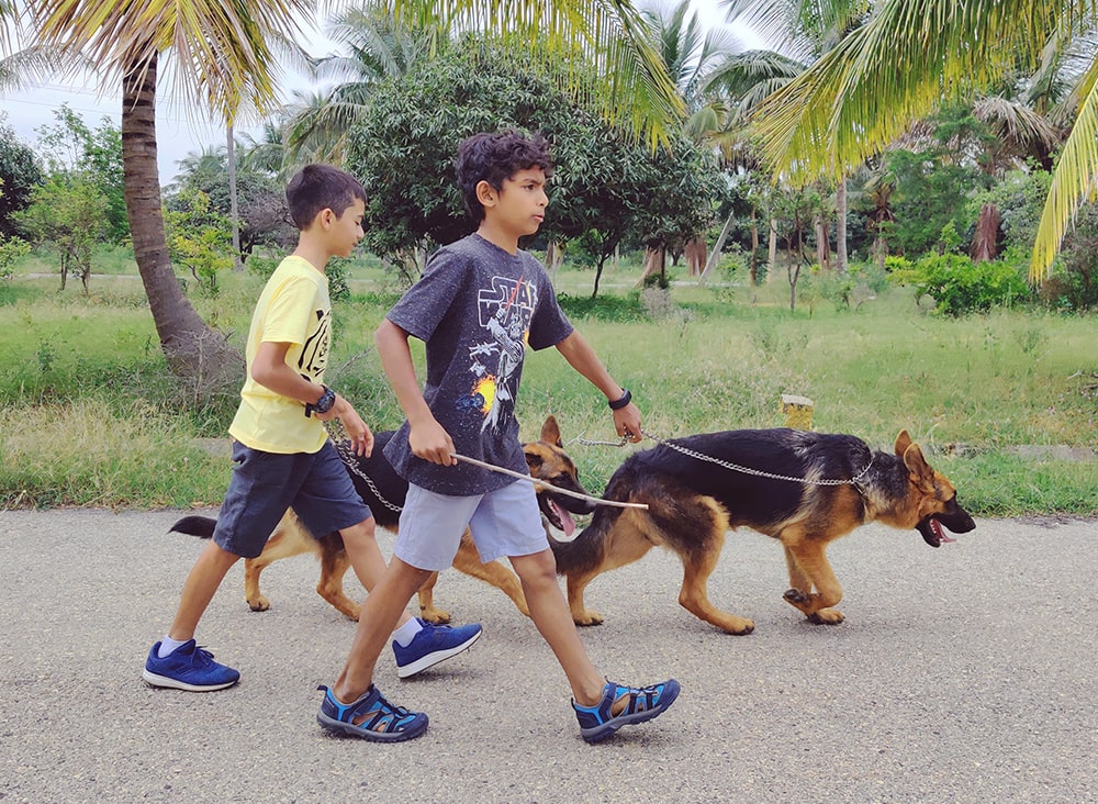 Camp Vama – Military Themed Experiential Getaway