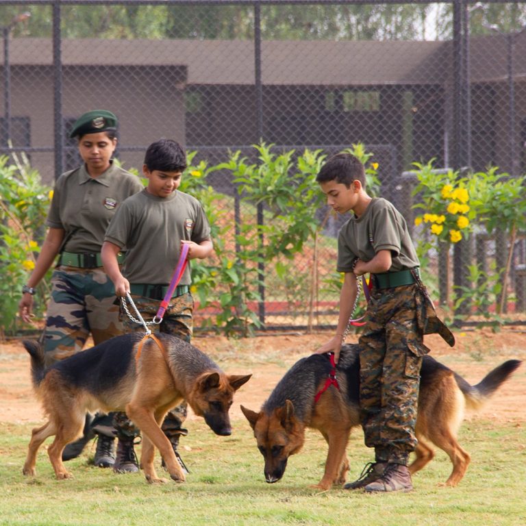 Camp Vama – Military Themed Experiential Getaway